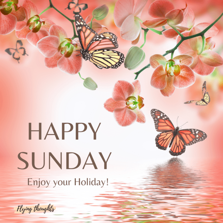 Happy Sunday Wishes, Messages, and Quotes to Share with Loved Ones